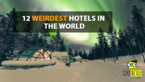 12 Weirdest Hotels In The World: Would You Ever Visit Them? | Stay Weird