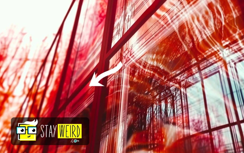 15 Weird Colors Your Eyes Might Have Ever Seen! | Stay Weird