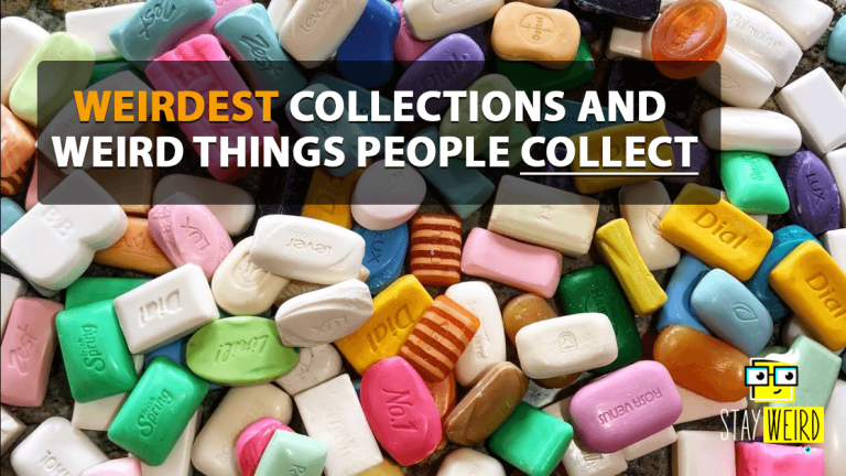 11 Most Bizarre and Weirdest Crimes Ever Committed!