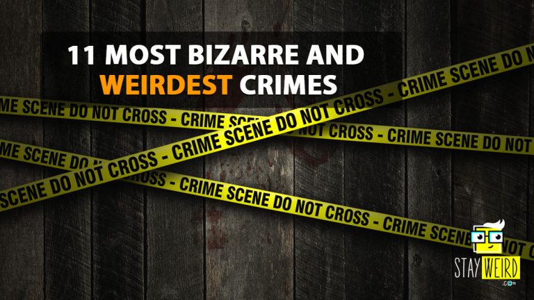 11 Most Bizarre and Weirdest Crimes Ever Committed Around The World ...