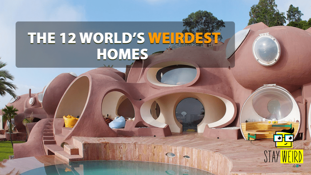 11 Most Bizarre and Weirdest Crimes Ever Committed!