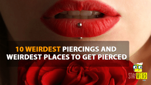 The 10 Weirdest Piercings and Weirdest Places to Get Pierced | Stay Weird