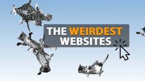 These 12 Weird Websites Will Leave You Asking “WTF Did I Just See ...