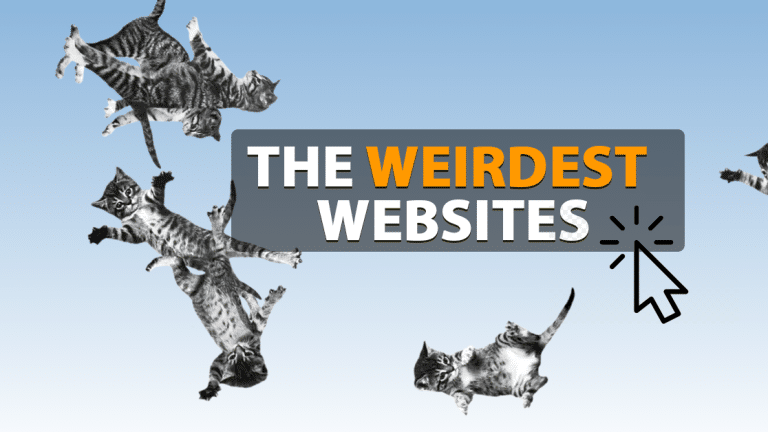 These 12 Weird Websites Will Leave You Asking “WTF Did I Just See ...