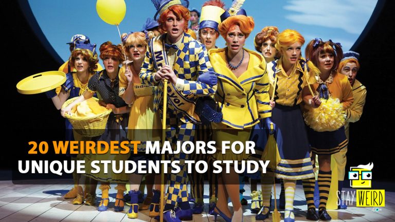 The 20 Weirdest Majors for Unique Students to Study | Stay Weird