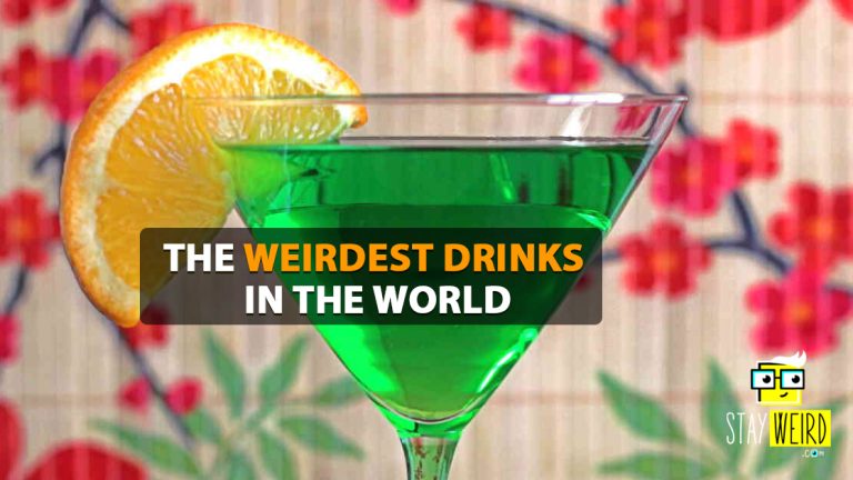 Feast On These Weirdest Soups in The World If You’re Not a Picky Eater