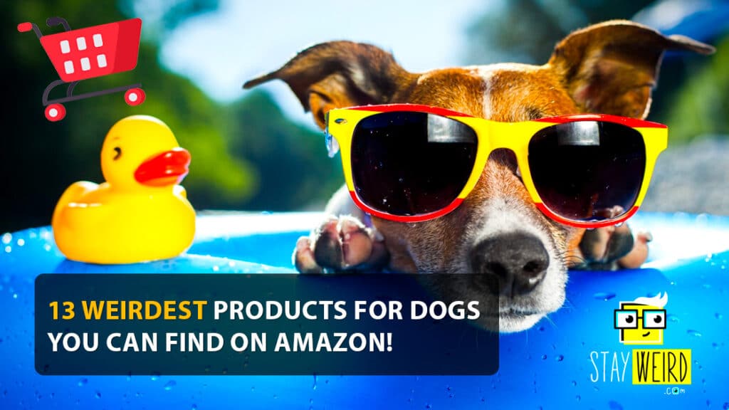 Craziest ChatGPT Prompts - 70 Bizarrely Weird Text Prompts