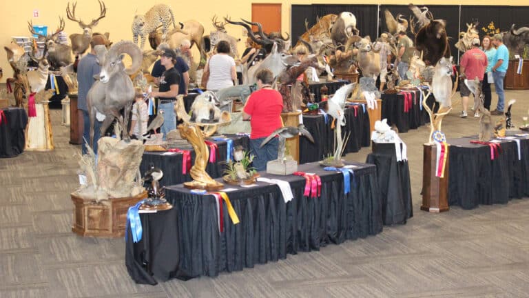 21 Weird Conventions: Strange Hobbies Bringing People Together | Stay Weird
