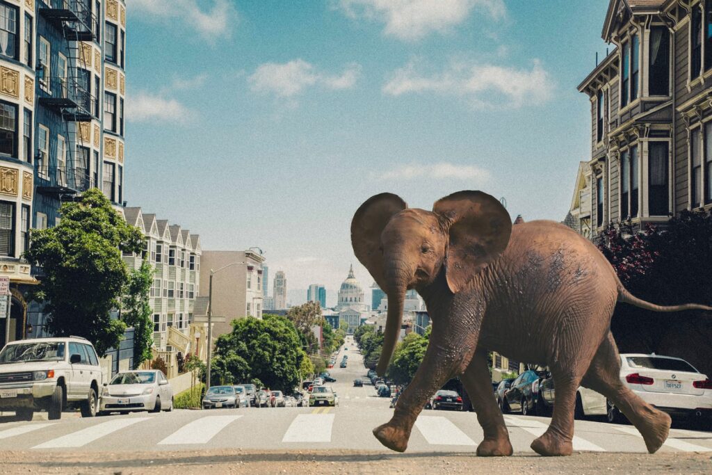 35 Weird California Laws You Won’t Believe Are Still In Effect | Stay Weird