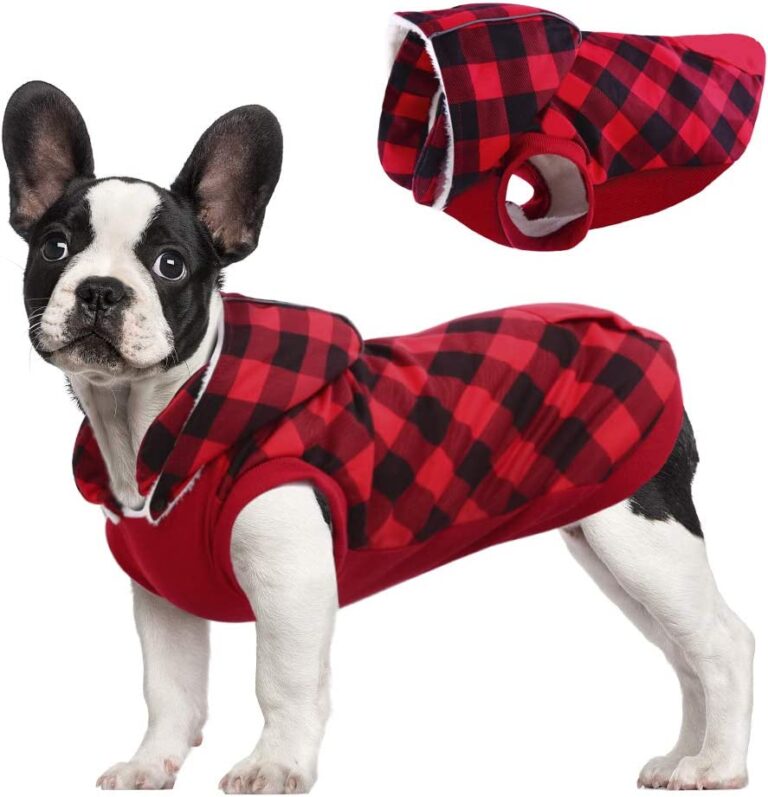 19 Cute Dog Outfits That’ll Make Your Pup Look Irresistible | Stay Weird