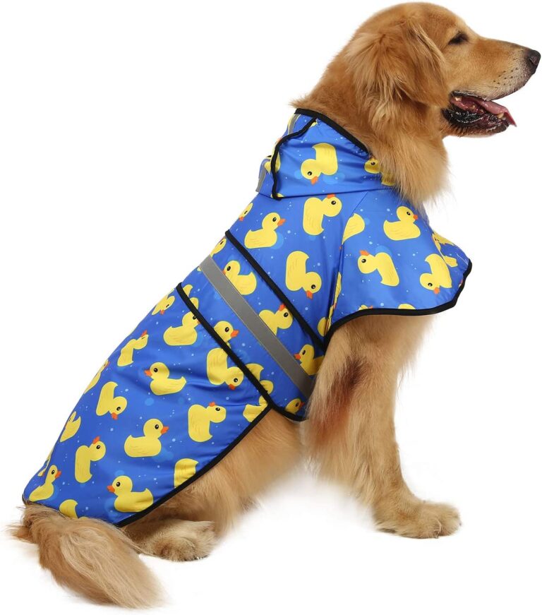 19 Cute Dog Outfits That’ll Make Your Pup Look Irresistible | Stay Weird
