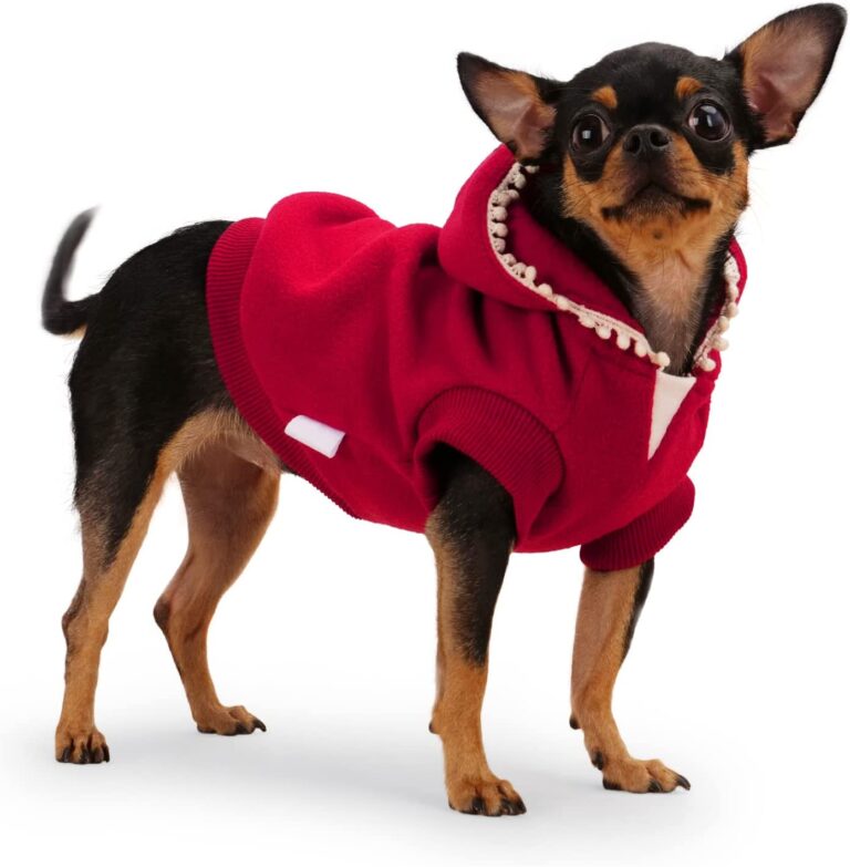 19 Cute Dog Outfits That’ll Make Your Pup Look Irresistible | Stay Weird