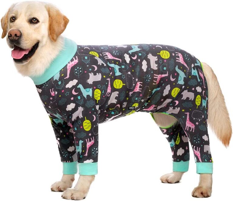 19 Cute Dog Outfits That’ll Make Your Pup Look Irresistible | Stay Weird