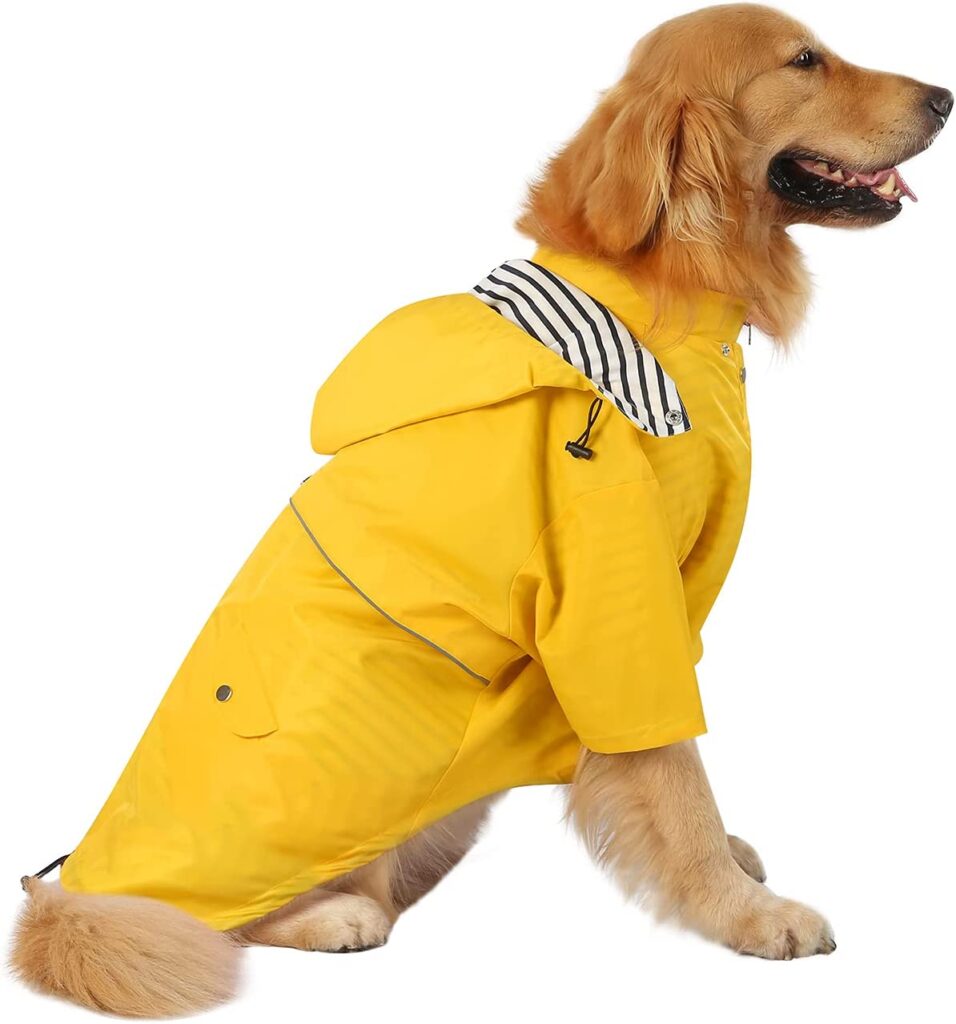 19 Cute Dog Outfits That’ll Make Your Pup Look Irresistible | Stay Weird