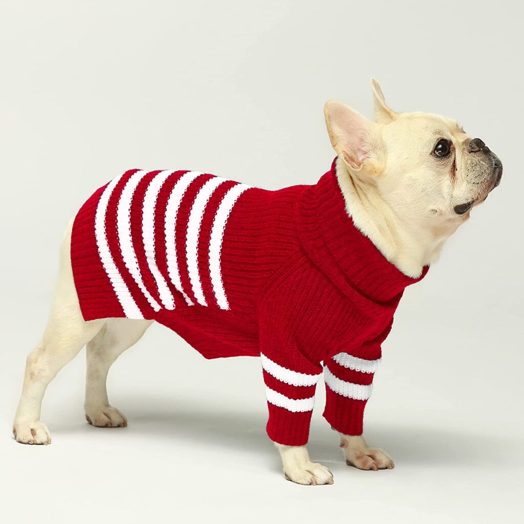 19 Cute Dog Outfits That’ll Make Your Pup Look Irresistible | Stay Weird