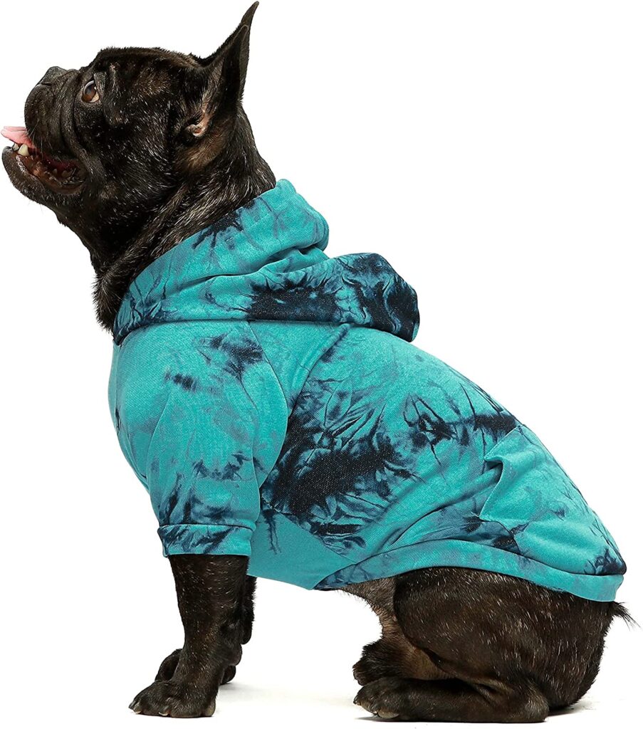 19 Cute Dog Outfits That’ll Make Your Pup Look Irresistible | Stay Weird