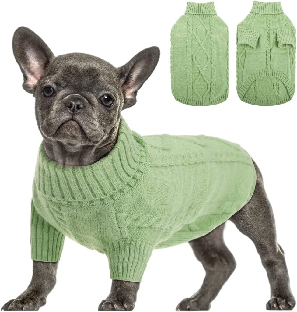 19 Cute Dog Outfits That’ll Make Your Pup Look Irresistible | Stay Weird