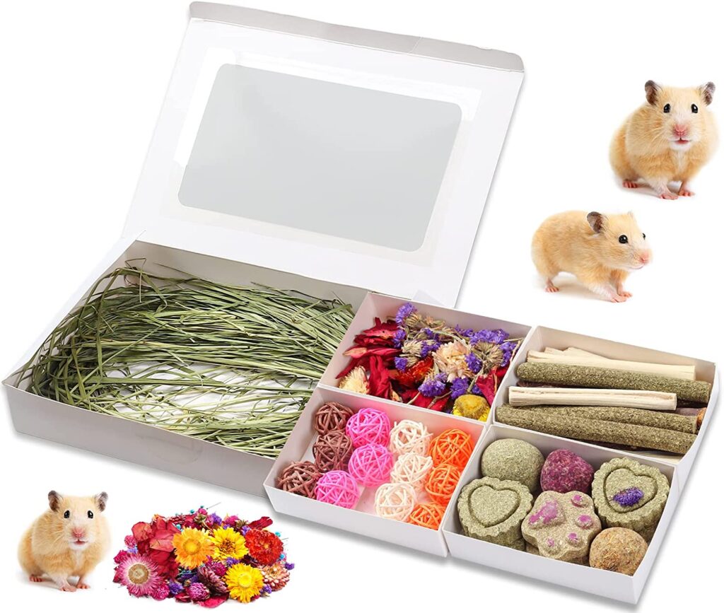 Hamster Heaven: 19 Weird Hamster Toys & Accessories He’ll Love | Stay Weird