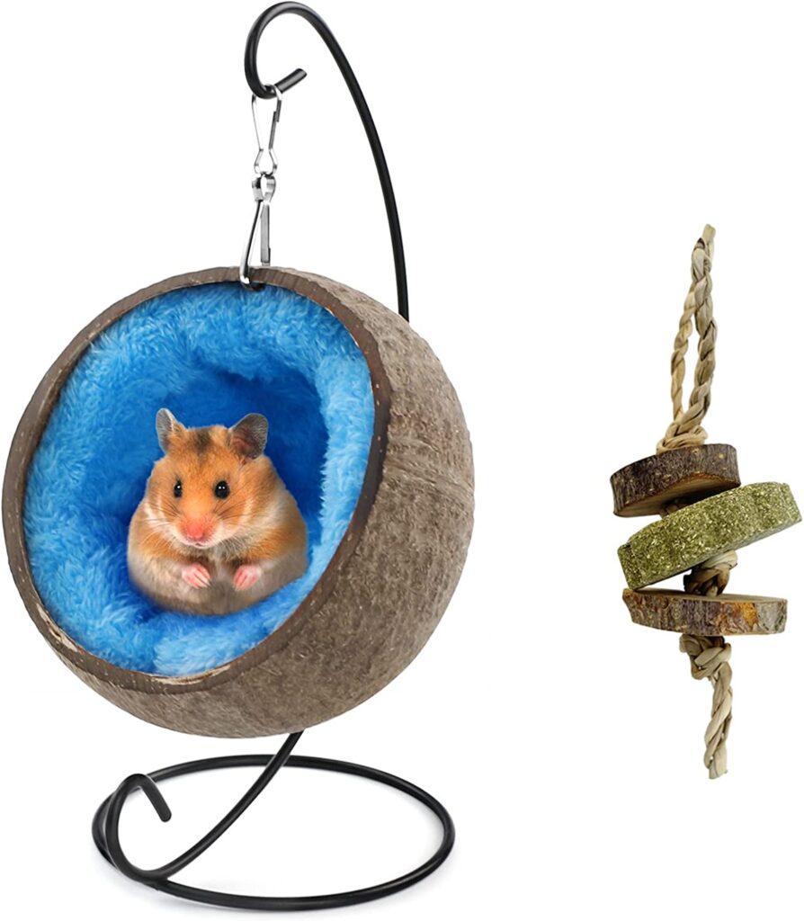 Hamster Heaven: 19 Weird Hamster Toys & Accessories He’ll Love | Stay Weird
