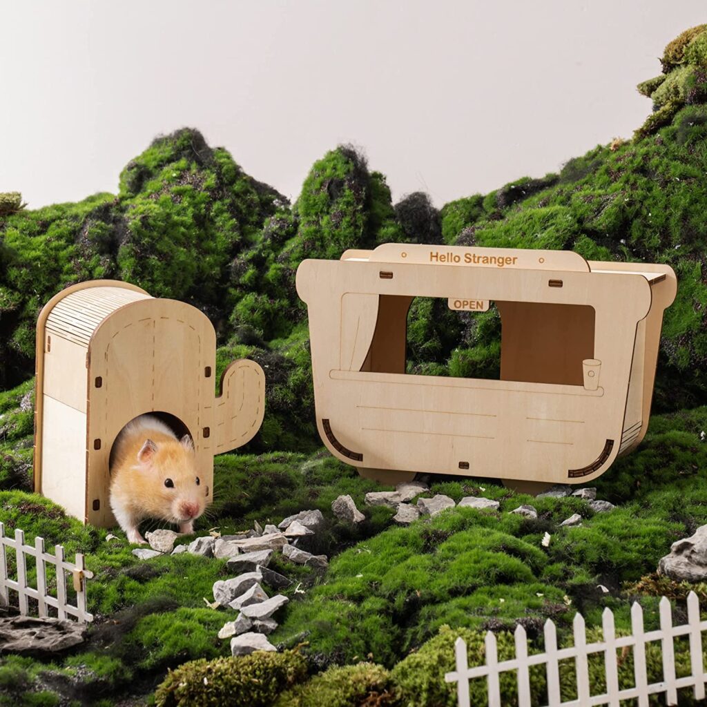 Hamster Heaven: 19 Weird Hamster Toys & Accessories He’ll Love | Stay Weird