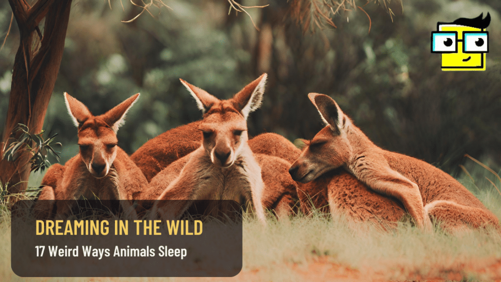 Dreaming In The Wild: 17 Weird Ways Animals Sleep - Stay Weird