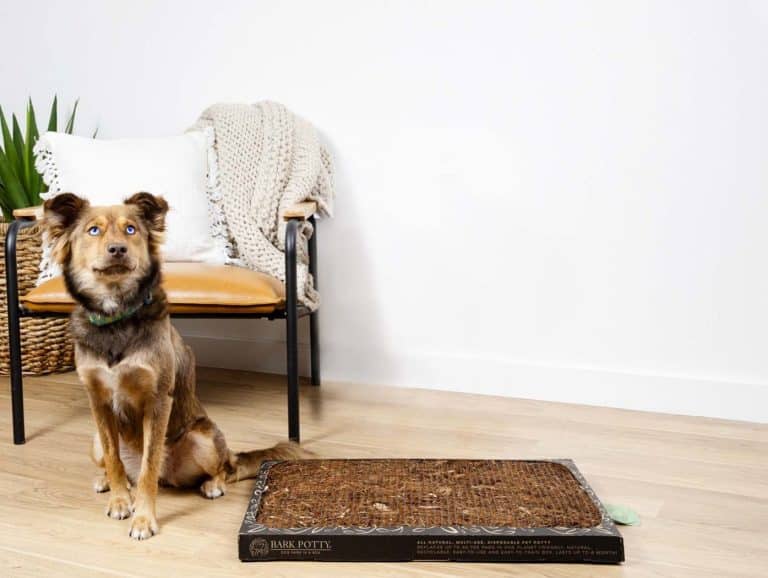 11 Weird Subscription Boxes You Might Just Fall In Love With! | Stay Weird