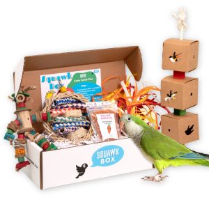 11 Weird Subscription Boxes You Might Just Fall In Love With! | Stay Weird