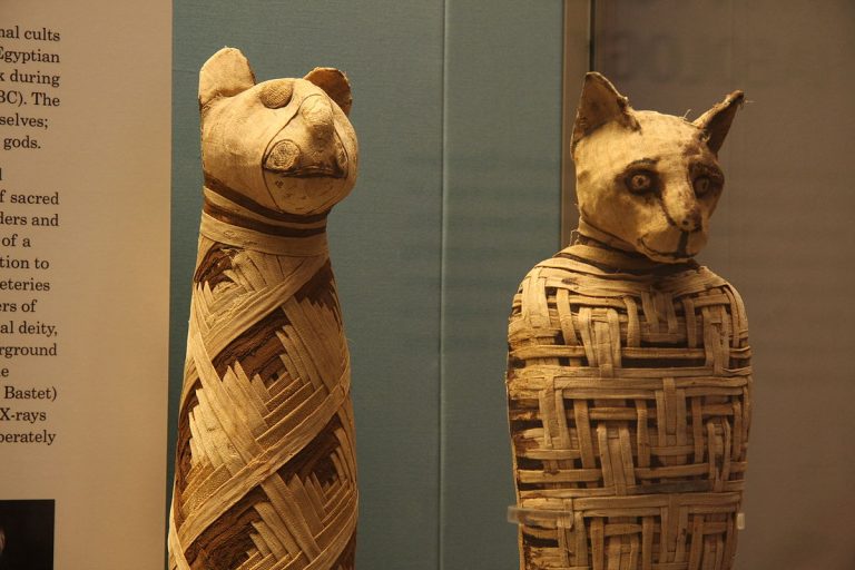 15 Surprising And Weird Facts About Egyptian Culture | Stay Weird