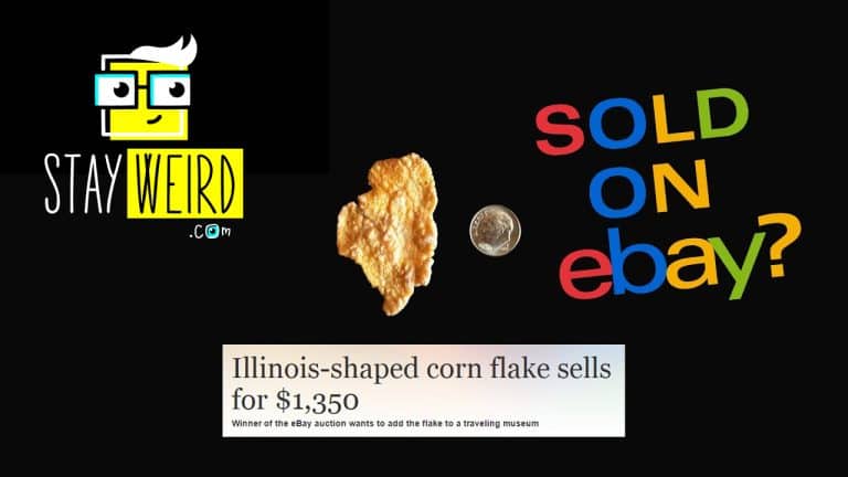 The Weirdest Items Sold On eBay, Journey into the Strange! | Stay Weird