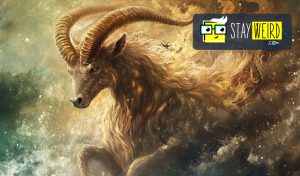 Weird Zodiac Signs: A Quirky Guide to Cosmic Eccentrics! | Stay Weird