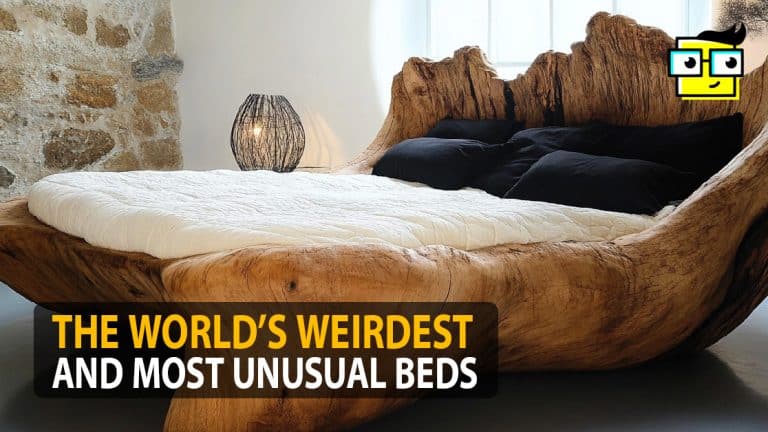Dreaming in Style: The World’s Weirdest and Most Unusual Beds | Stay Weird