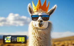 9 Fun Facts About Llamas That Will Make You Say, Llama Wow! | Stay Weird