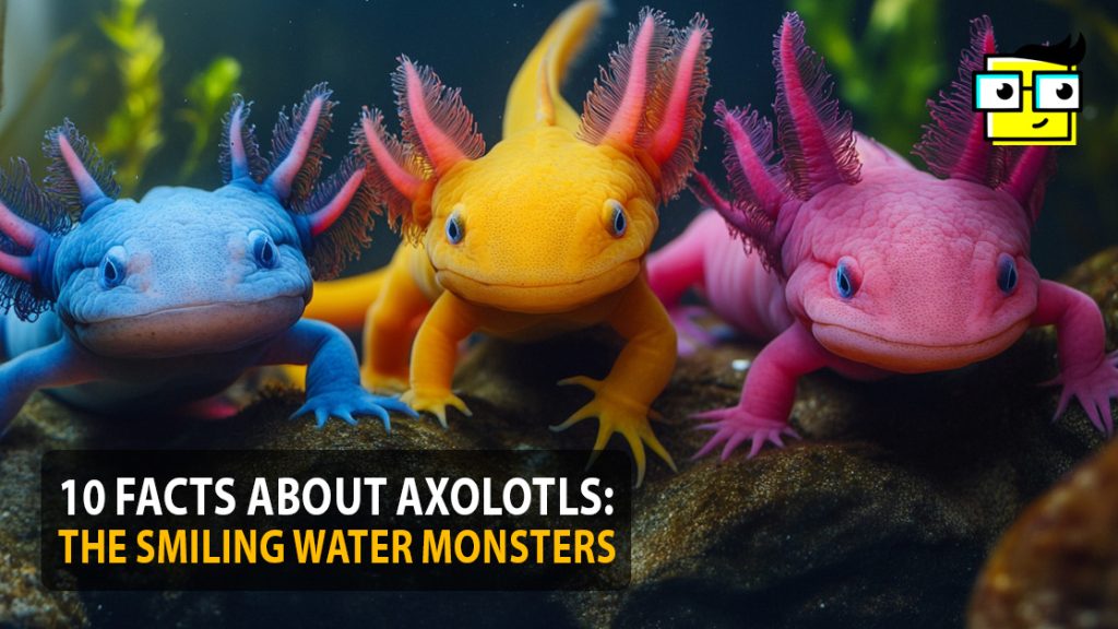 Exploring The 30 Weirdest Sports In Existence! Stay Weird!