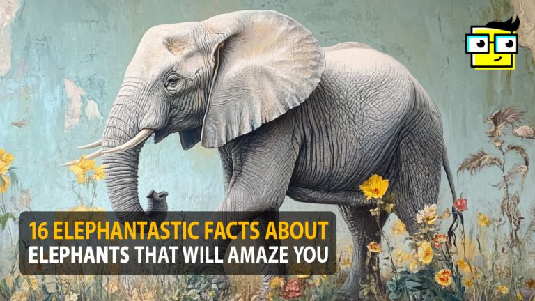 16 Elephantastic, Facts About Elephants That Will Amaze You!