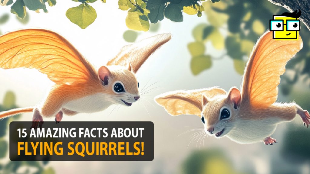 15 Amazing Facts About Flying Squirrels: Nature’s Tiny Gliders | Stay Weird