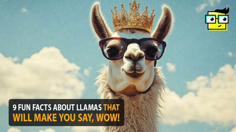 9 Fun Facts About Llamas That Will Make You Say, Llama Wow! | Stay Weird