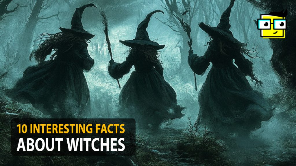 10 Interesting Facts About Witches: Magic Unveiled | Stay Weird