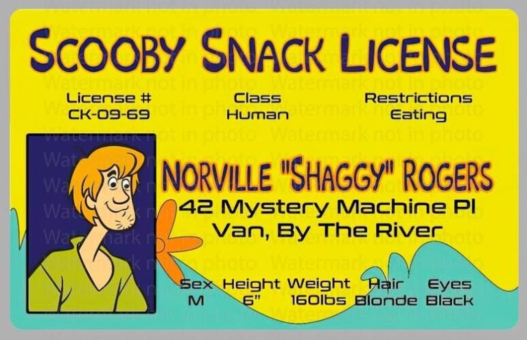 Scooby-Doo’s Shaggy: 15 Weird Facts That Will Tickle Your Mystery Bone ...