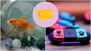 The 10 Strangest Video Game Controllers Ever Made (Yes, a Fish Is One ...